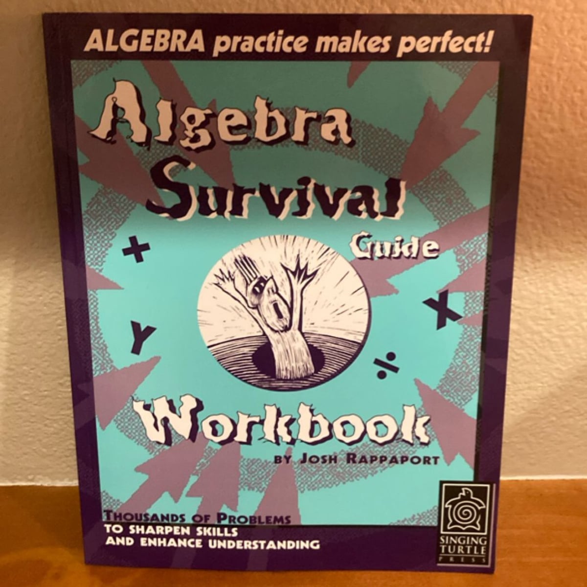 Algebra Survival Guide Workbook by Josh Rappaport