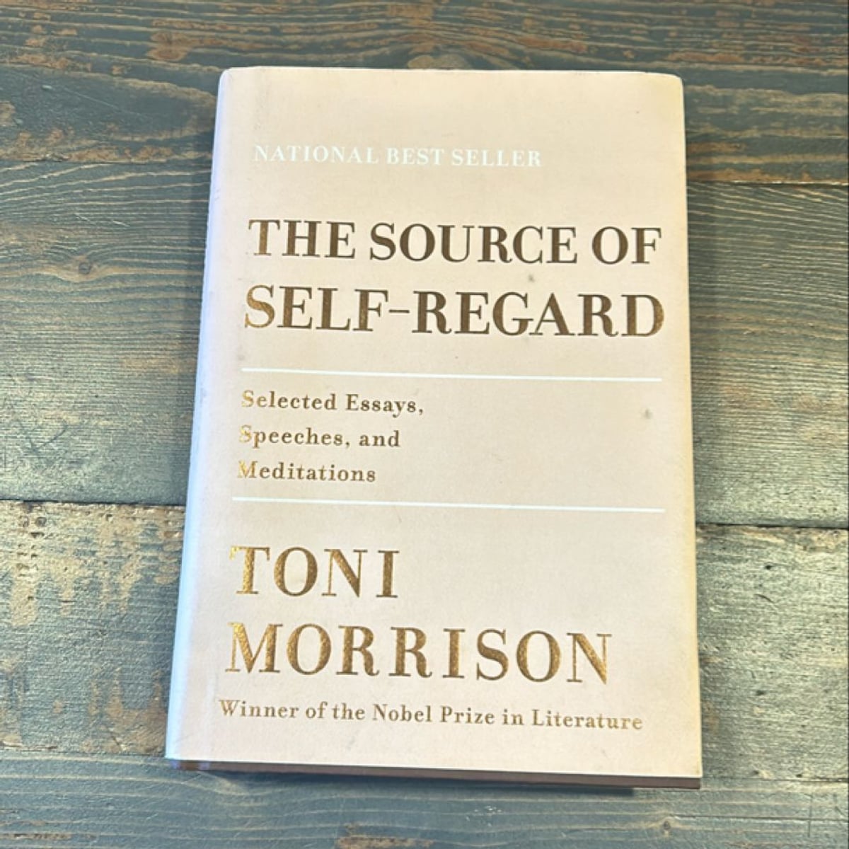 The Source of Self-Regard by Toni Morrison