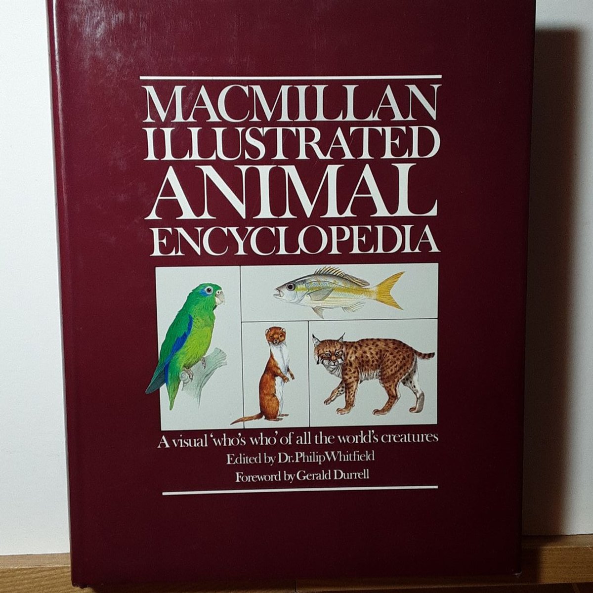 Macmillan Illustrated Animal Encyclopedia by Macmillan Publishing ...