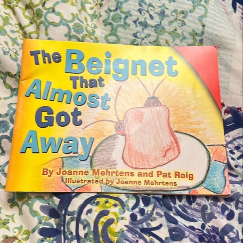 Igneous Rocks and the Rock Cycle by Joanne Mattern