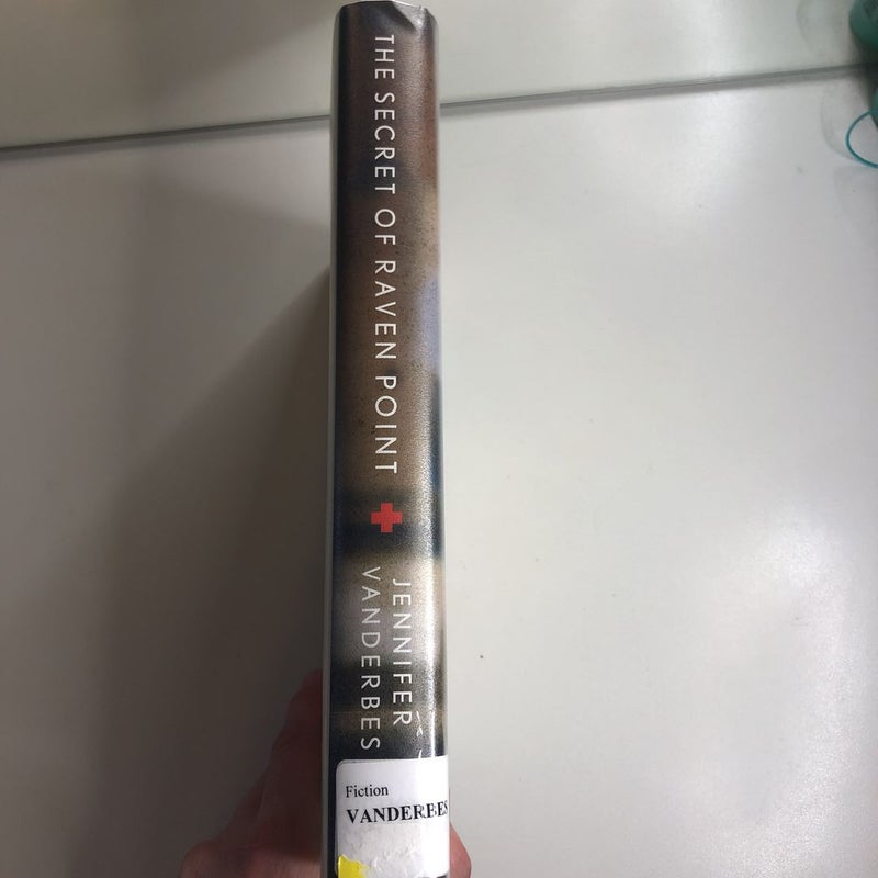 The Secret of Raven Point by Jennifer Vanderbes