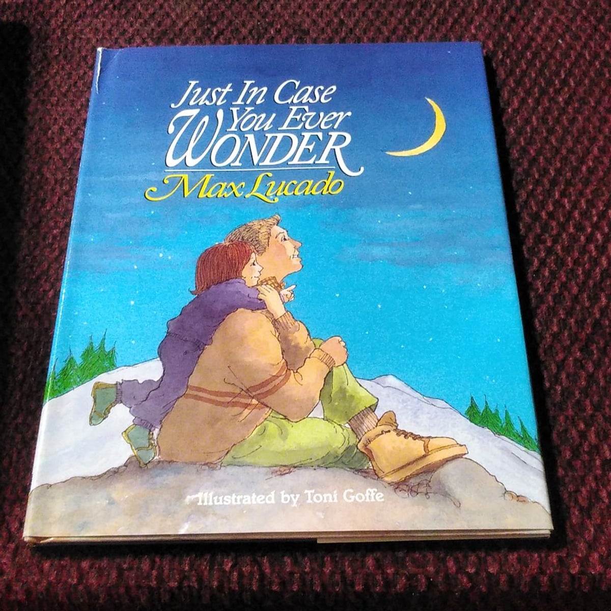 Just in Case You Ever Wonder by Max Lucado