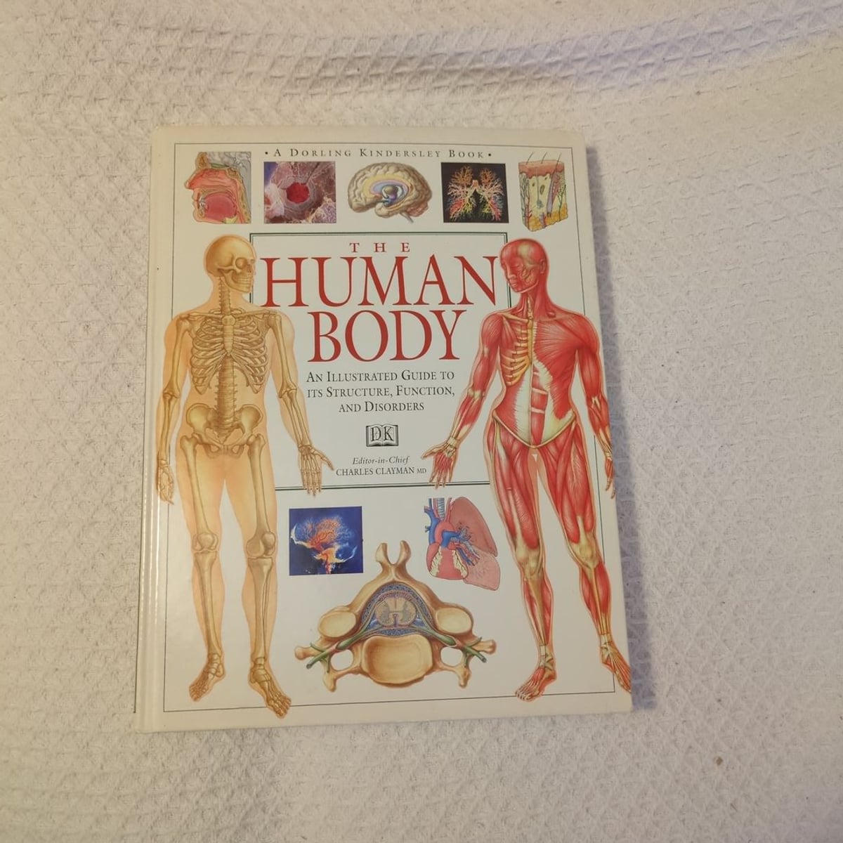 Illustrated Guide to the Human Body by Charles B. Clayman
