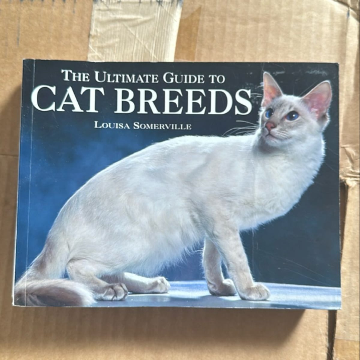 Ultimate Guide to Cat Breeds by Louisa Somerville