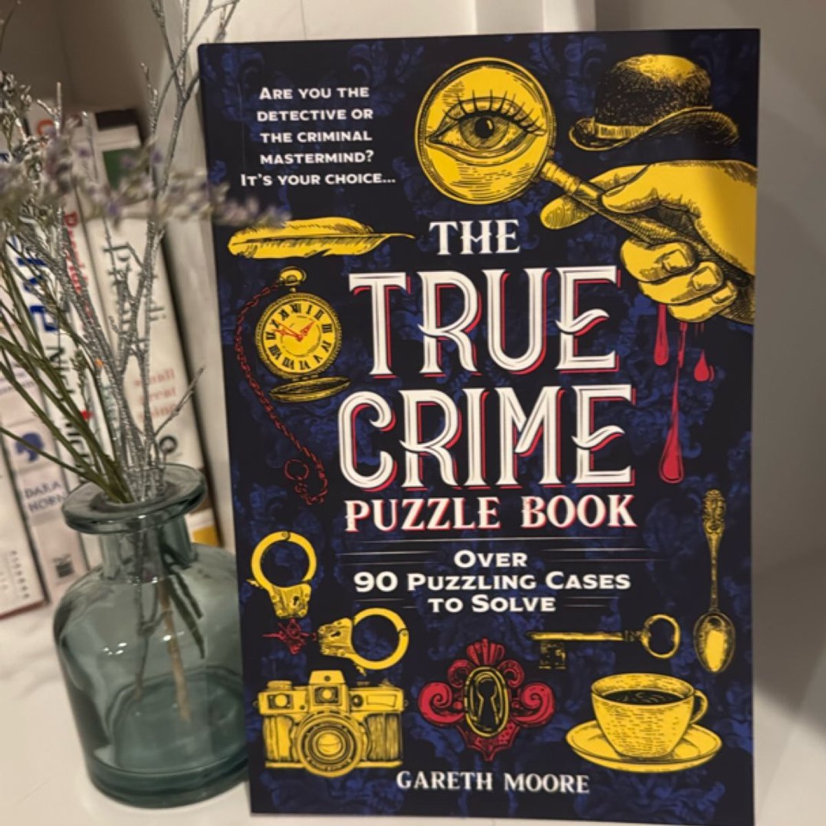 The True Crime Puzzle Book by Gareth Moore