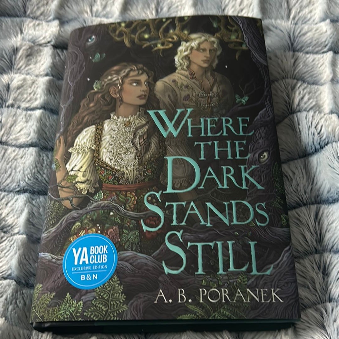 Where the Dark Stands Still by A. B. Poranek, Hardcover | Pangobooks