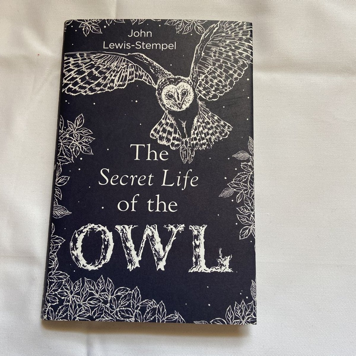 The Secret Life of the Owl by John Lewis-Stempel