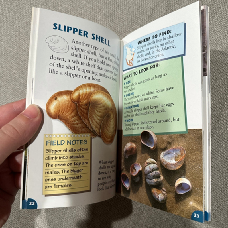 My First Pocket Guide Seashore Life (National Geographic My First ...