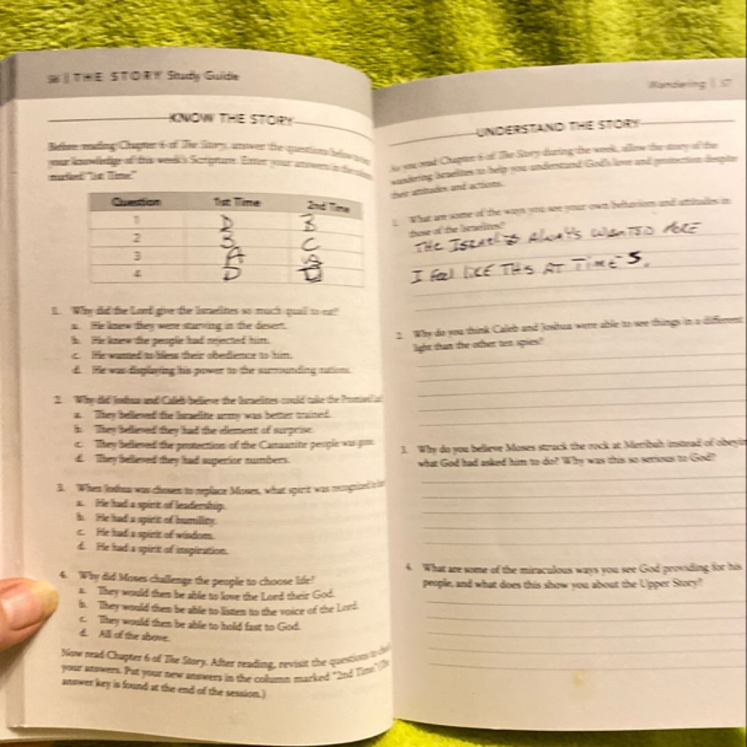 The Story Study Guide by Randy Frazee