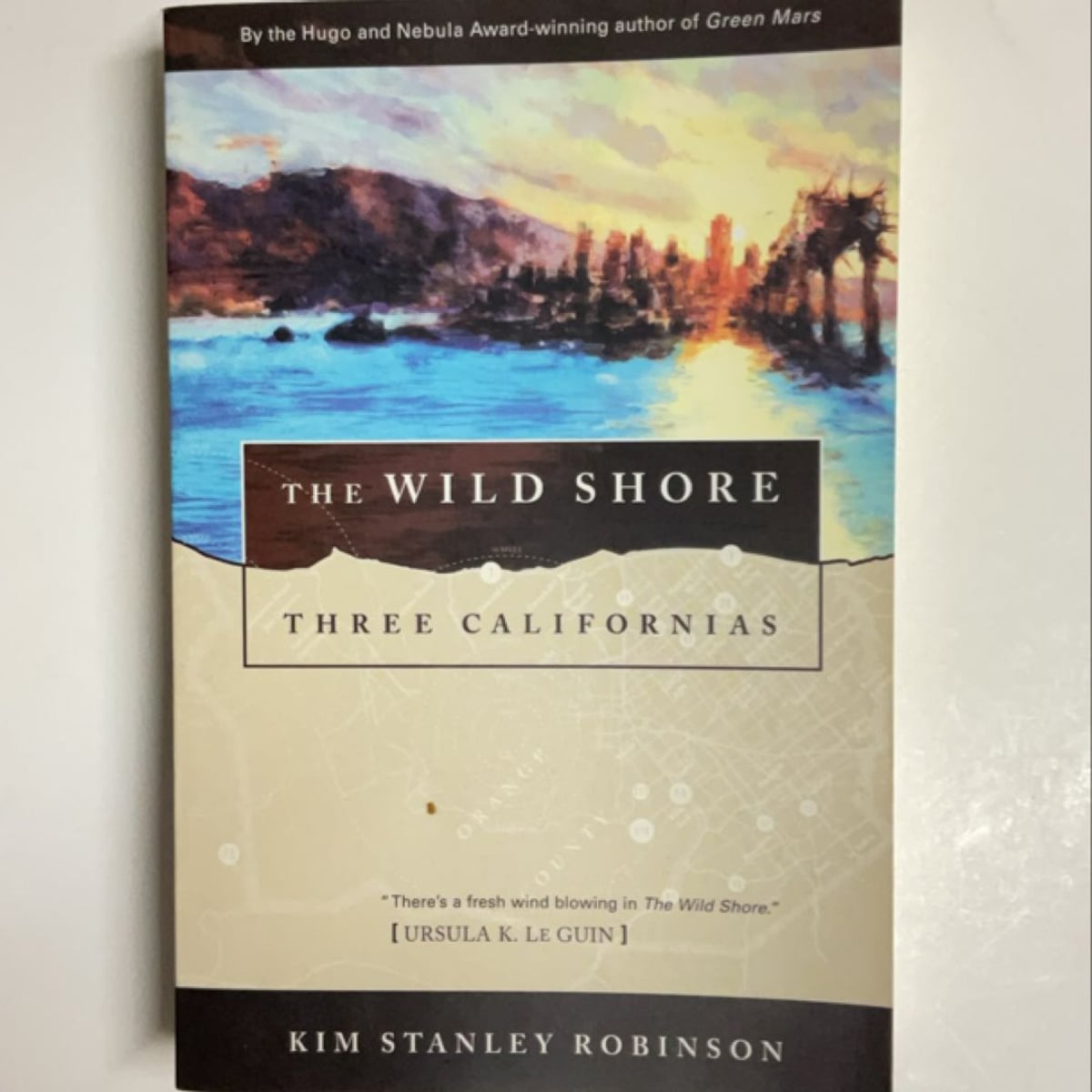 The Wild Shore by Kim Stanley Robinson