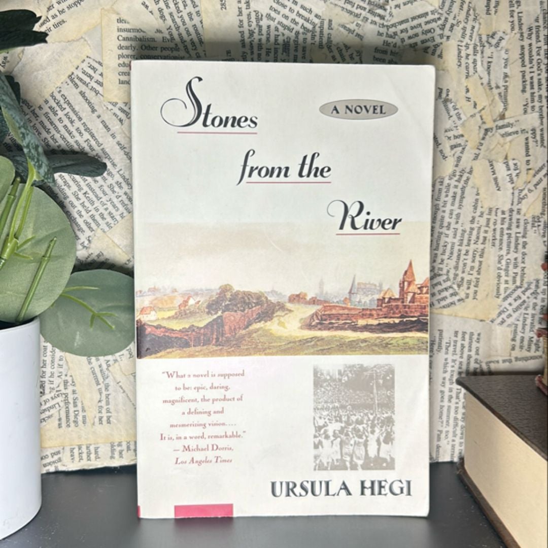 Stones from the River by Ursula Hegi