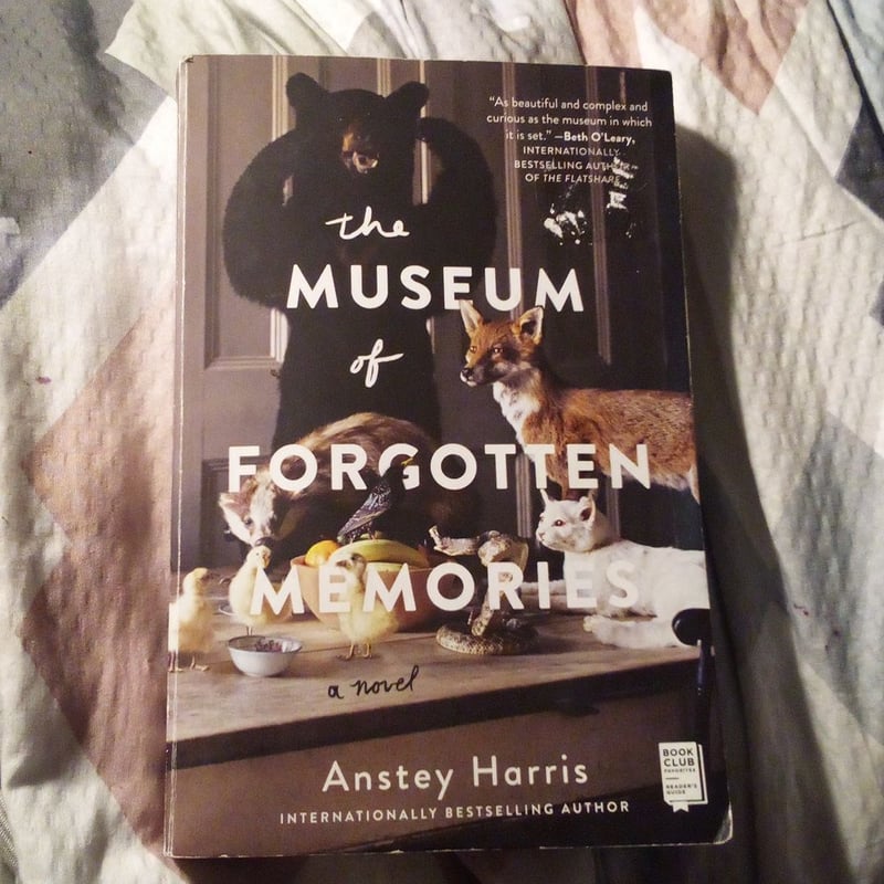 The Museum of Forgotten Memories by Anstey Harris, Paperback | Pangobooks