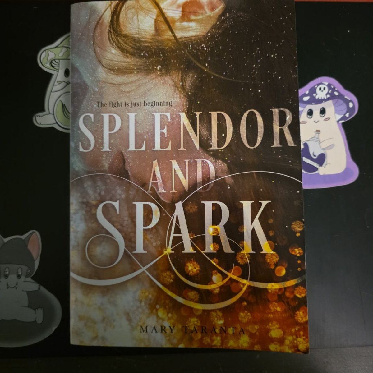 Splendor and Spark by Mary Taranta