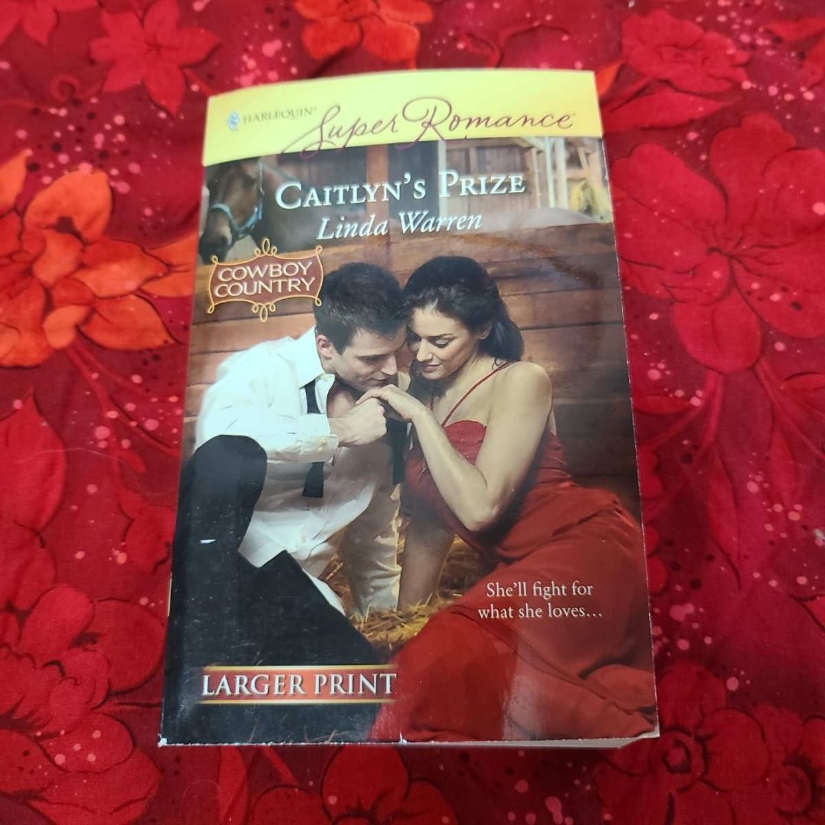 Caitlyn's Prize by Linda Warren
