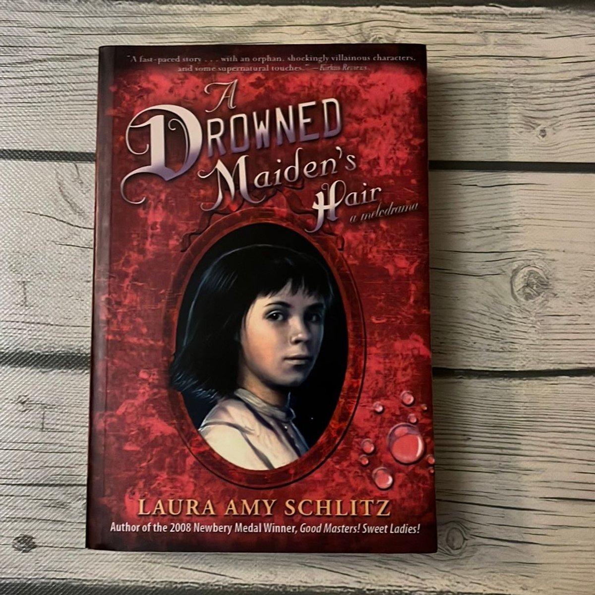 A Drowned Maiden's Hair by Laura Amy Schlitz