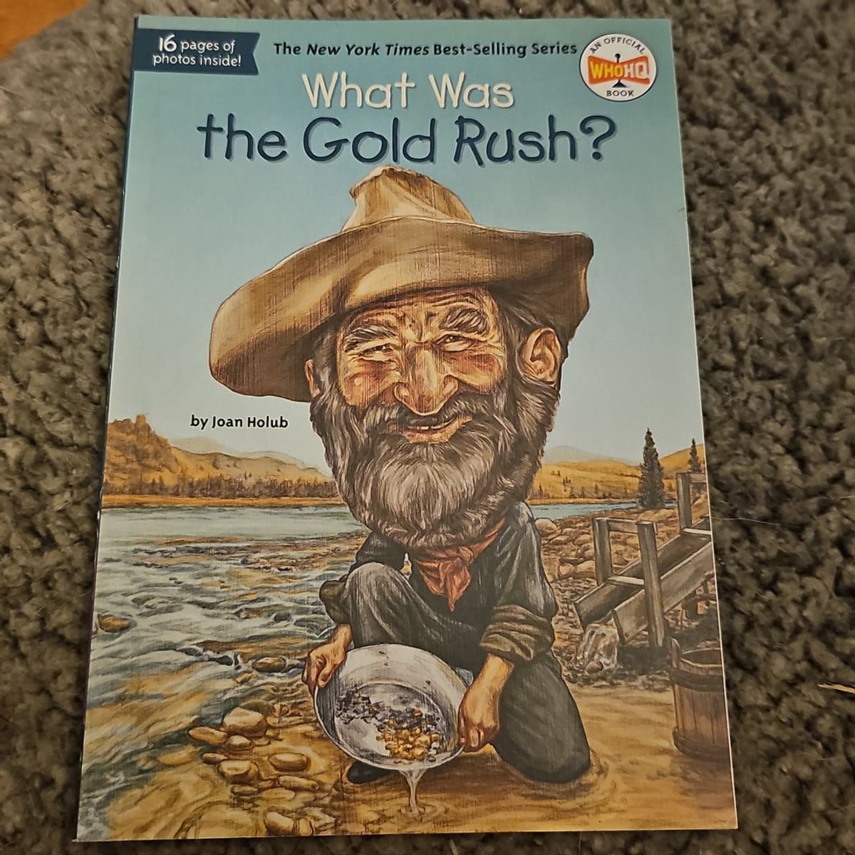 What Was the Gold Rush? by Joan Holub, Paperback | Pangobooks