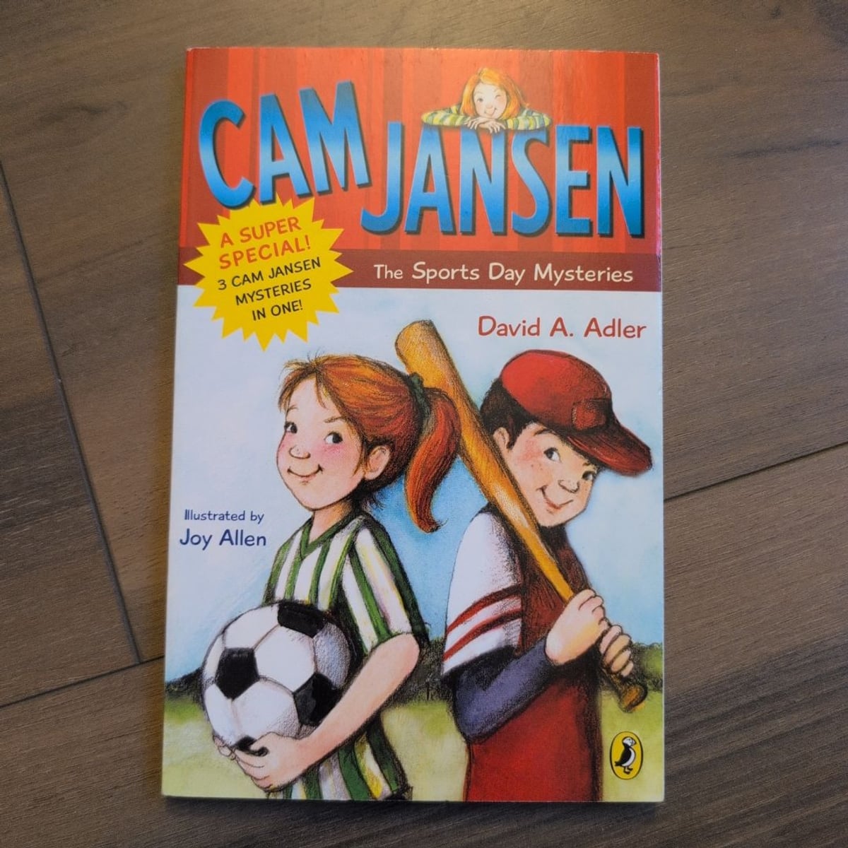 Cam Jansen: Cam Jansen and the Sports Day Mysteries by David A. Adler