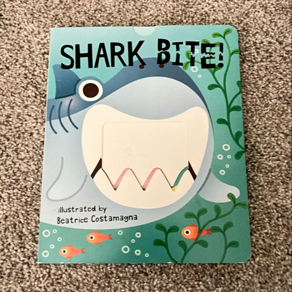 Shark Bite! by Little Bee Books