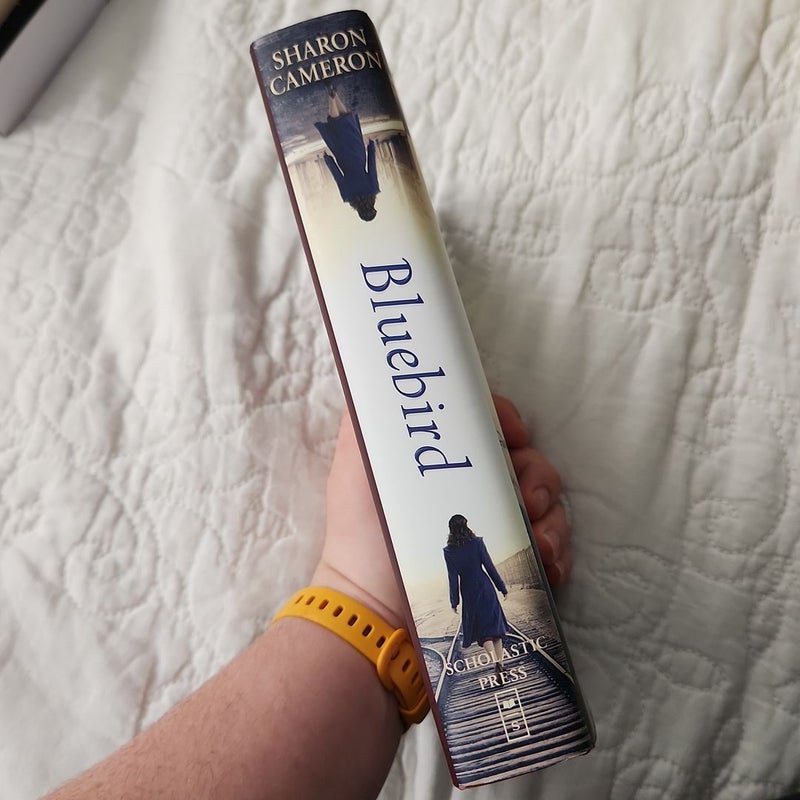 Bluebird by Sharon Cameron, Hardcover | Pangobooks