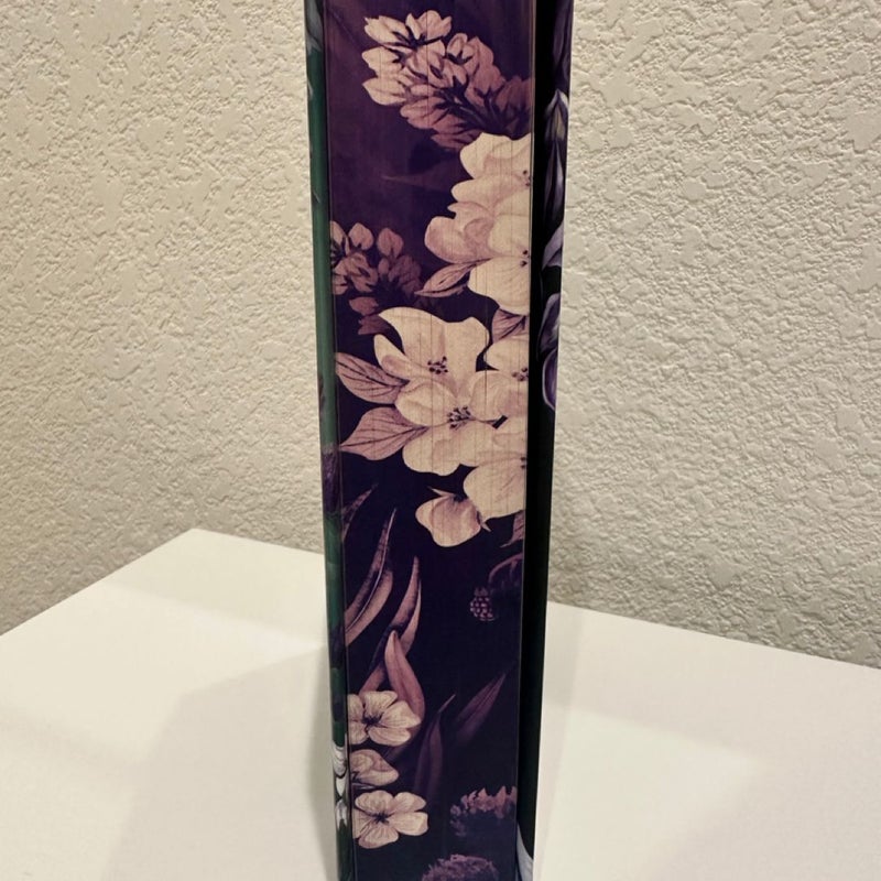 FAIRYLOOT - Iron and Embers by Helen Scheuerer, Hardcover | Pangobooks