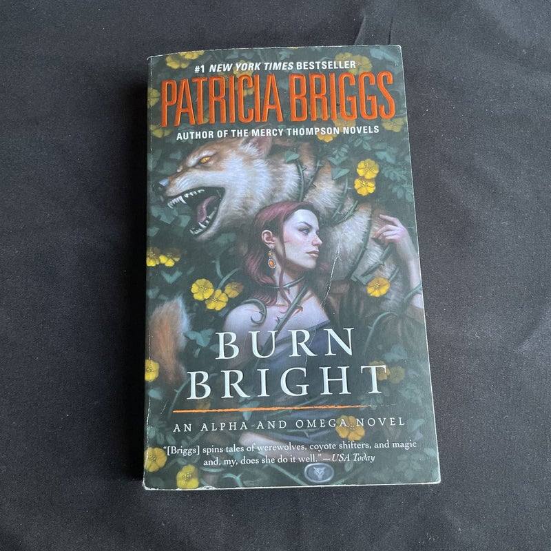 Burn Bright by Patricia Briggs, Paperback | Pangobooks