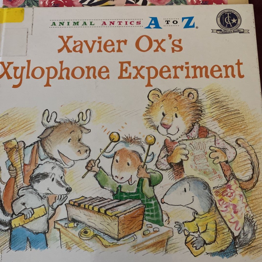 Xavier Ox's Xylophone Experiment by Barbara deRubertis