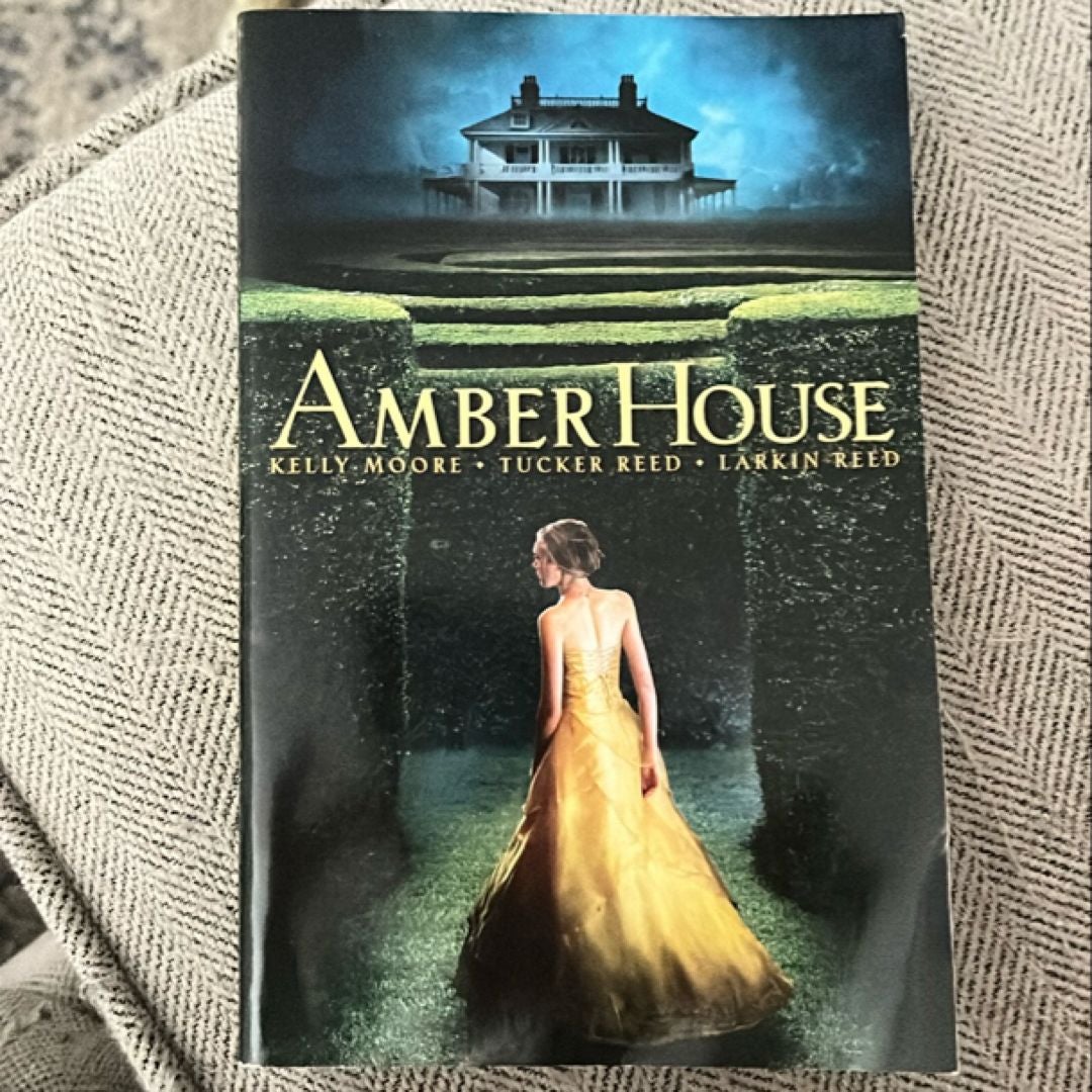 Amber House by Kelly Moore, Tucker Reed, Larkin Reed, Paperback ...