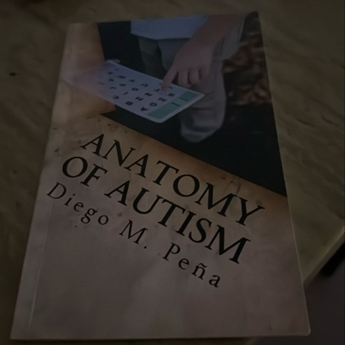 Anatomy of Autism by Diego Pena