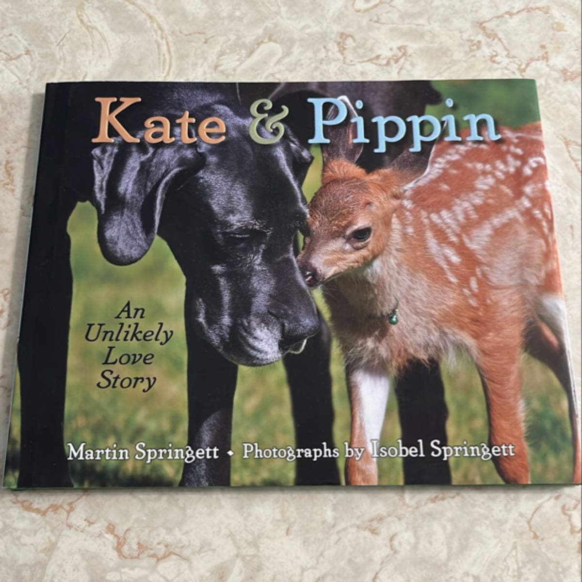 Kate and Pippin by Martin Springett, Isobel Springett