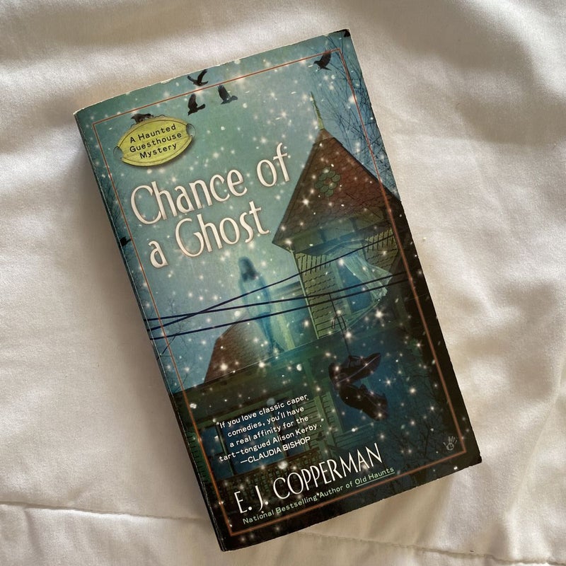 Chance of a Ghost by E. J. Copperman