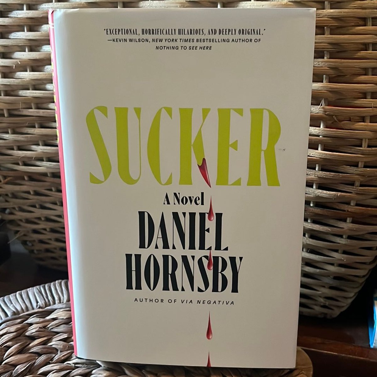 Sucker by Daniel Hornsby