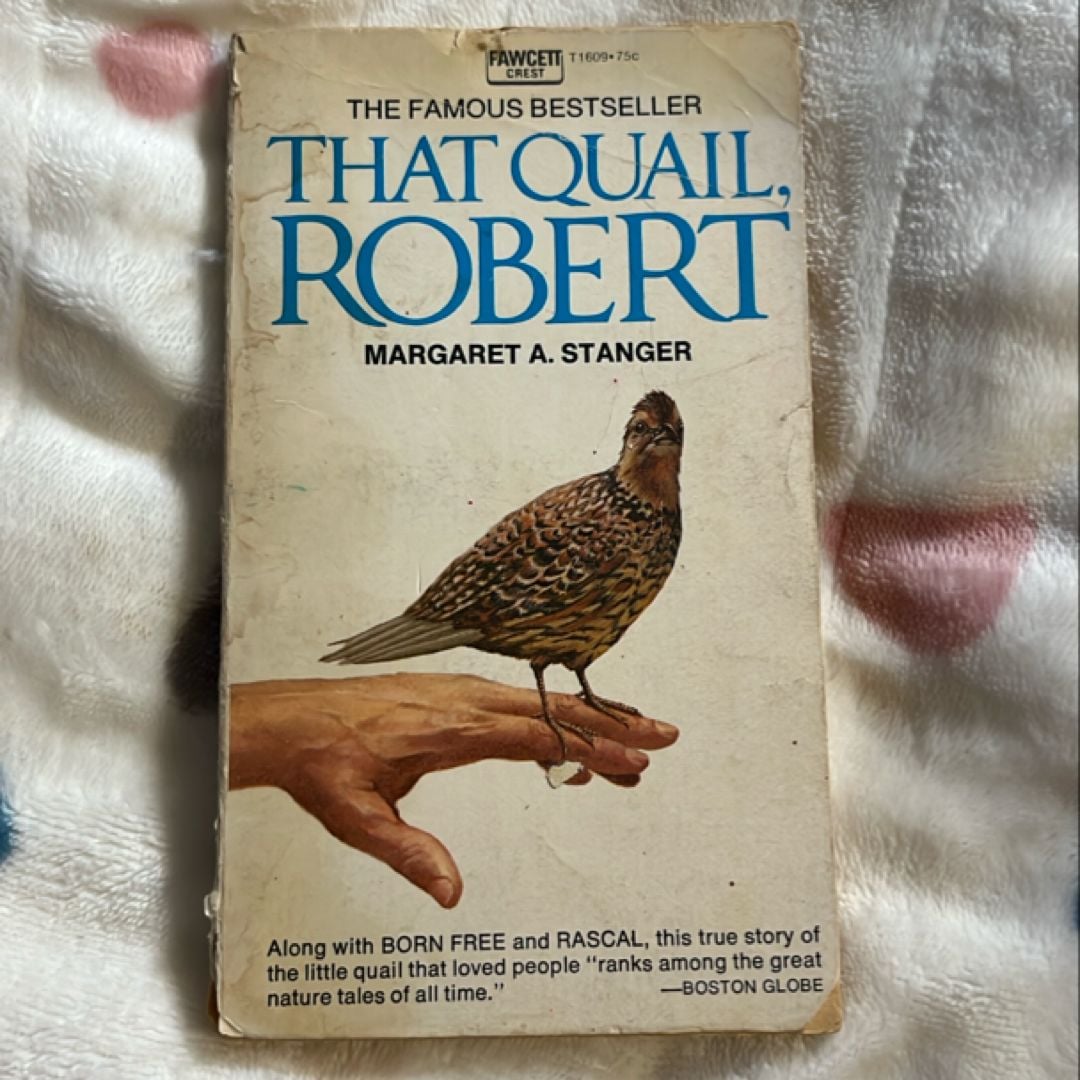 That Quail Robert by Margaret A. Stanger, Paperback | Pangobooks