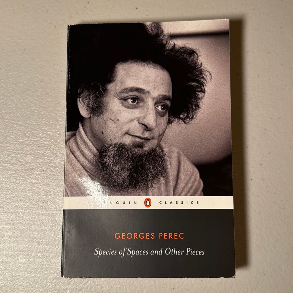Species of Spaces and Other Pieces by Georges Perec
