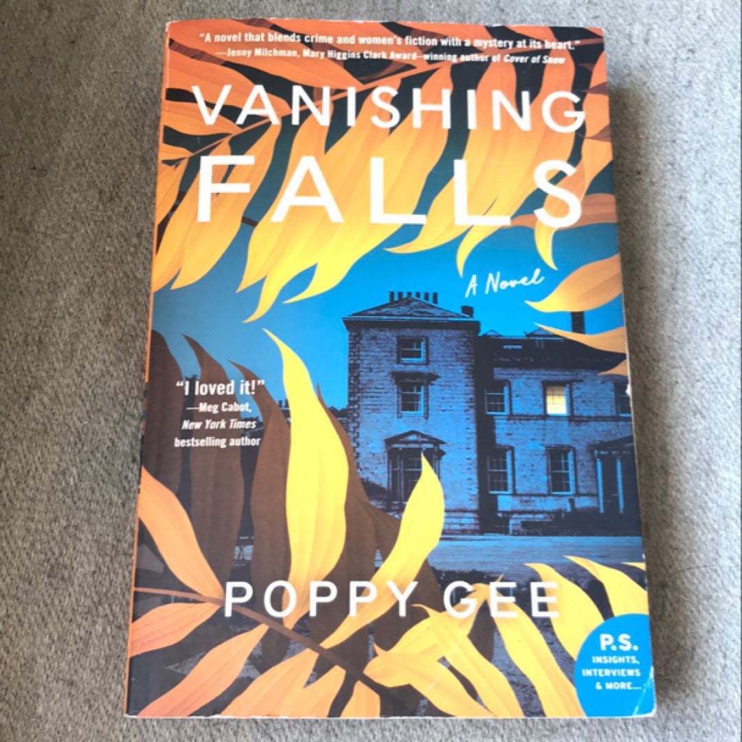 Vanishing Falls by Poppy Gee