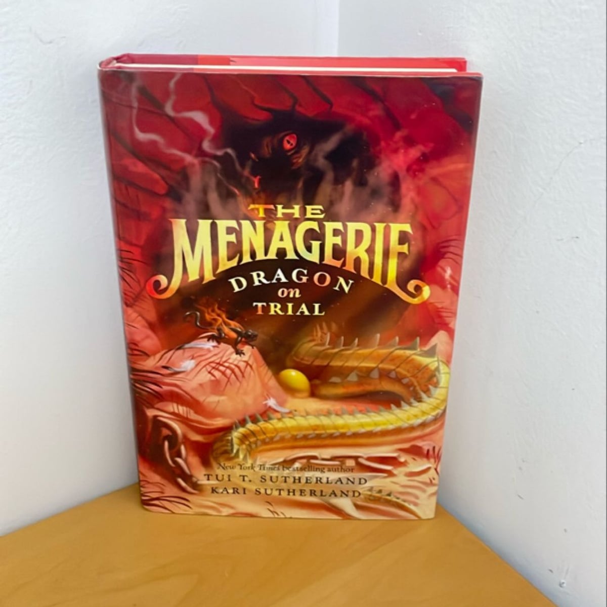 The Menagerie #2: Dragon on Trial by Tui T. Sutherland, Kari Sutherland