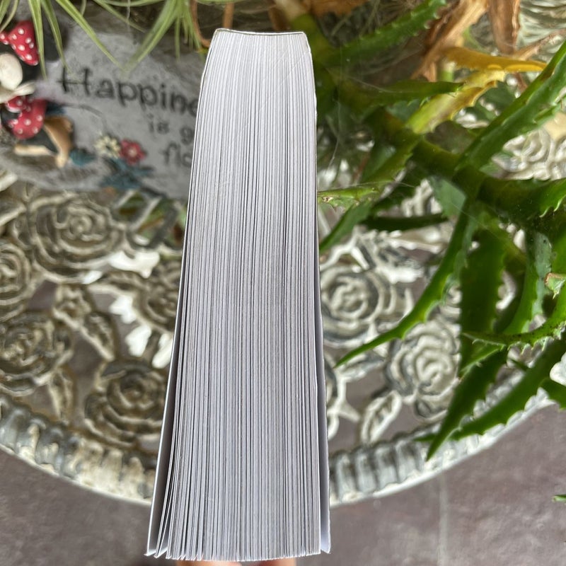 Camera Shy by Kay Cove, Paperback | Pangobooks