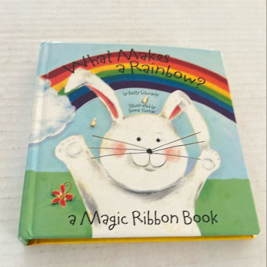What makes a rainbow by Betty Schwartz, Hardcover | Pangobooks