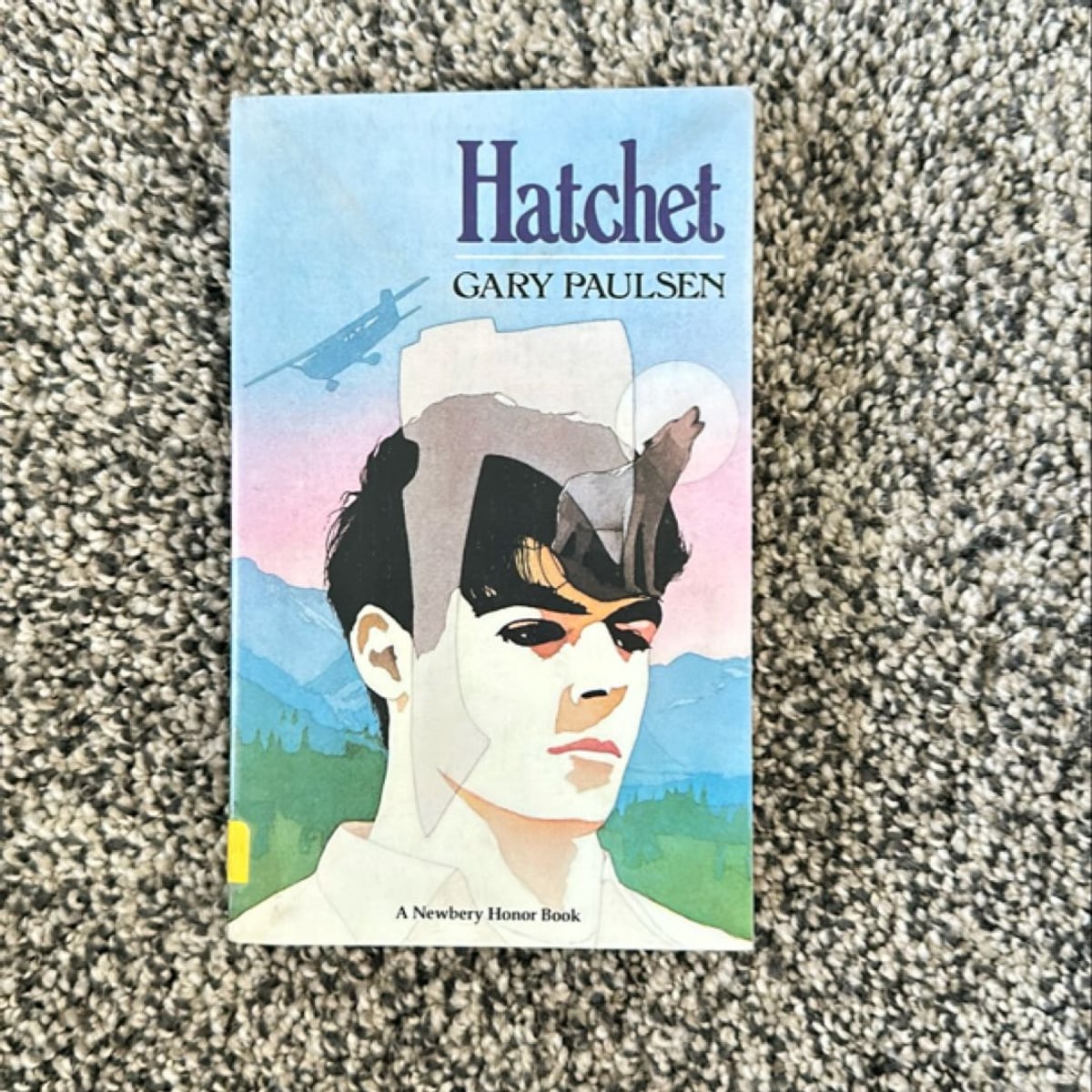 Hatchet by Gary Paulsen , Paperback | Pangobooks