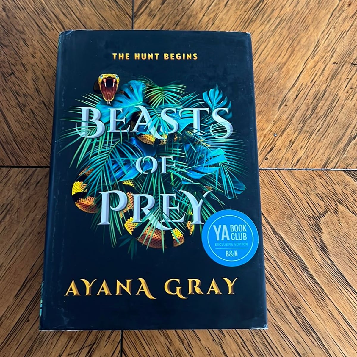 Beasts of Prey by Ayana Gray, Paperback | Pangobooks