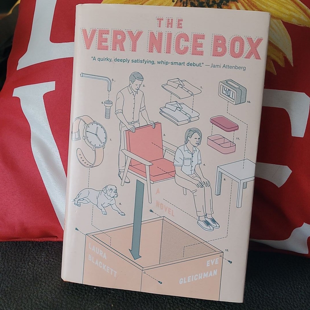The Very Nice Box by Eve Gleichman, Laura Blackett