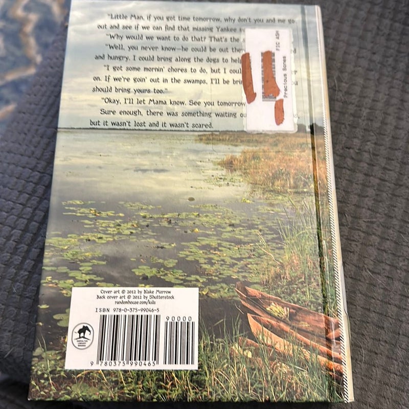 Precious Bones by Mika Ashley-Hollinger, Hardcover | Pangobooks