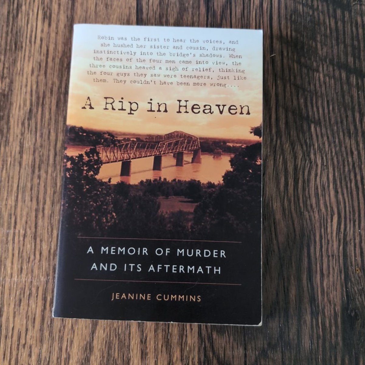 A Rip in Heaven by Jeanine Cummins