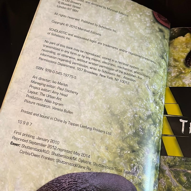 100 Most Disgusting Things on the Planet by Anna Claybourne