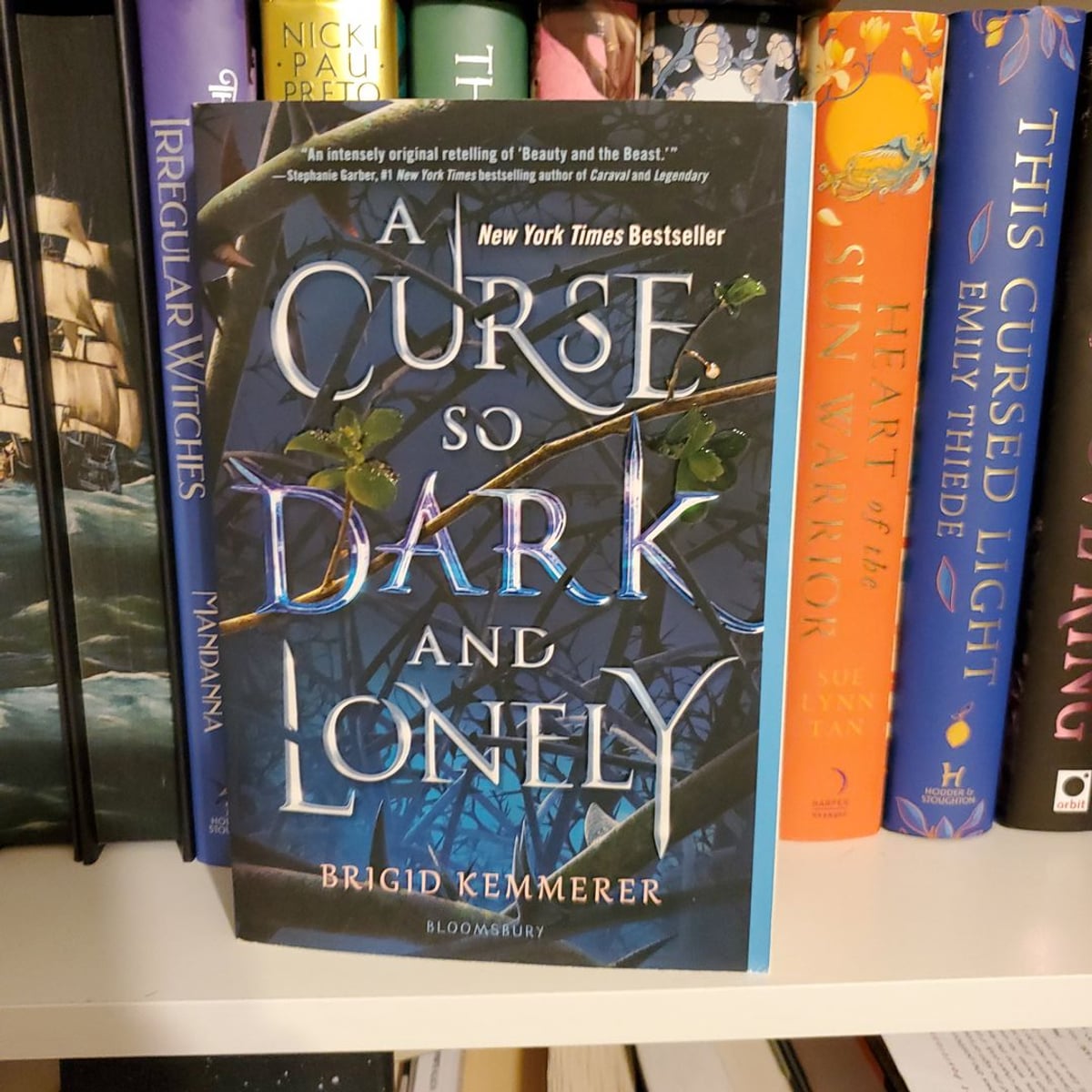 A Curse So Dark and Lonely by Brigid Kemmerer, Paperback | Pangobooks