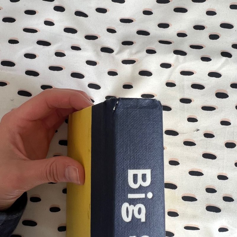 Big Swiss by Jen Beagin, Hardcover | Pangobooks