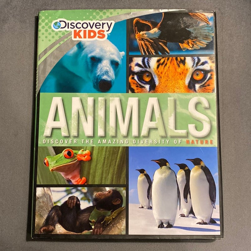 Animals (Discovery Kids) by Parragon, Hardcover | Pangobooks