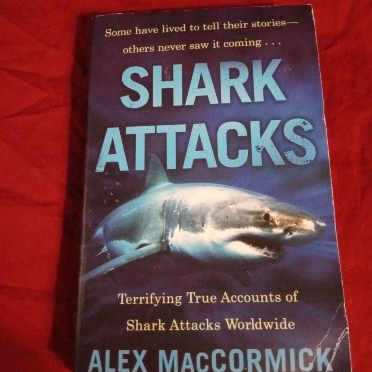 Shark Attacks by Alex MacCormick