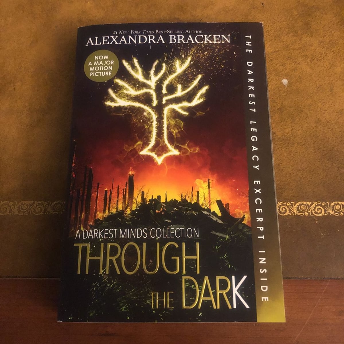 A Darkest Minds Collection Through the Dark by Alexandra Bracken ...
