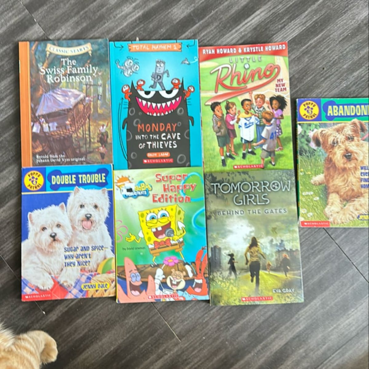 Lots of young reader young adult books by Various , Paperback | Pangobooks