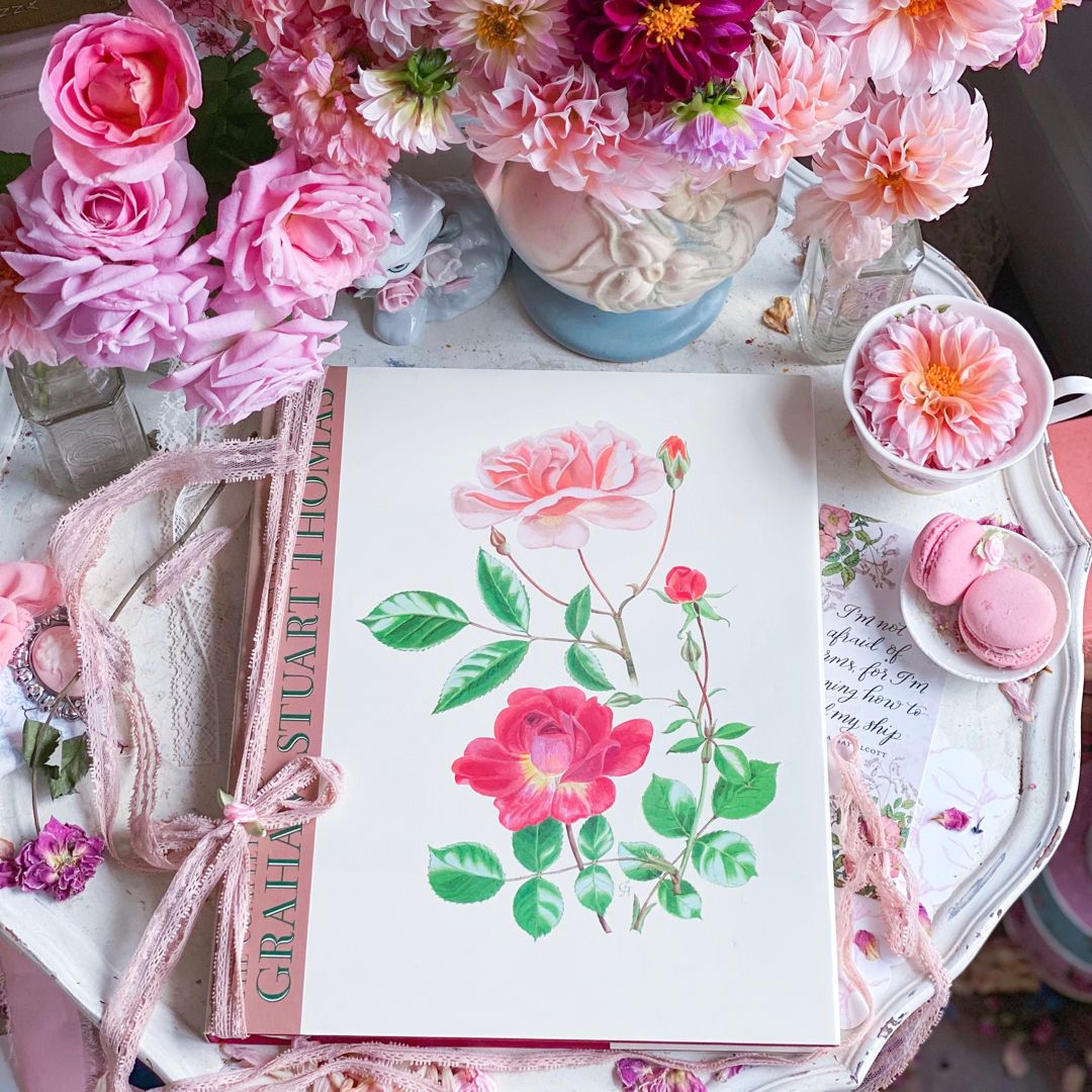 Complete Flower Paintings and Drawings of Graham Stuart Thomas by Graham S. Thomas